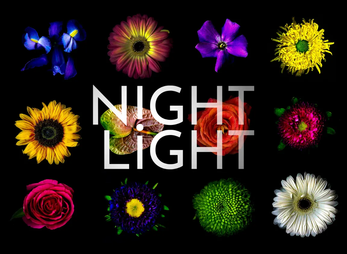 Night Light (18+) - Kiewit Luminarium