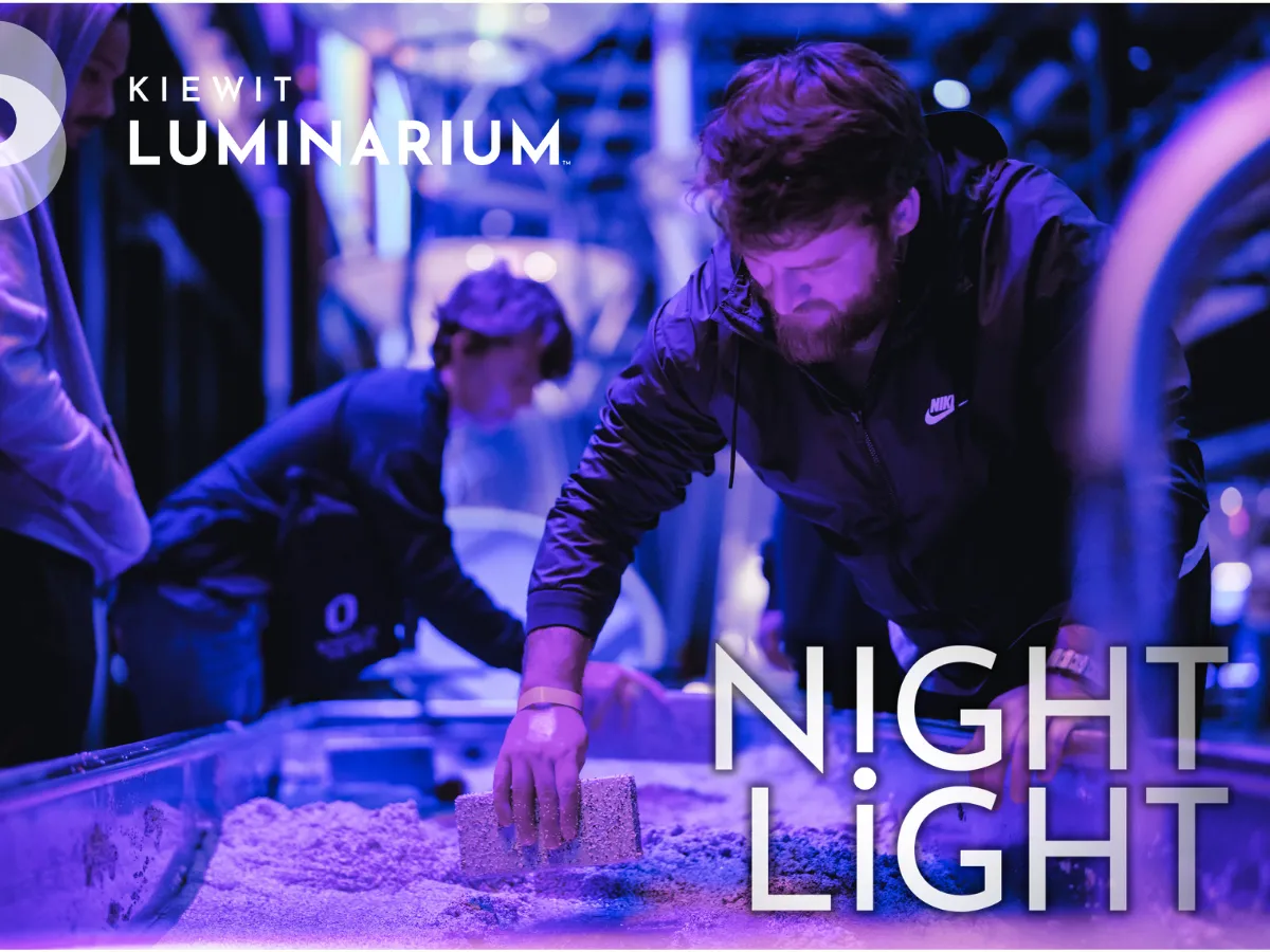 Night Light (18+) 11/20/25 - Kiewit Luminarium